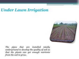 Subsurface drip irrigation | PPTX | Gardening | Home & Garden