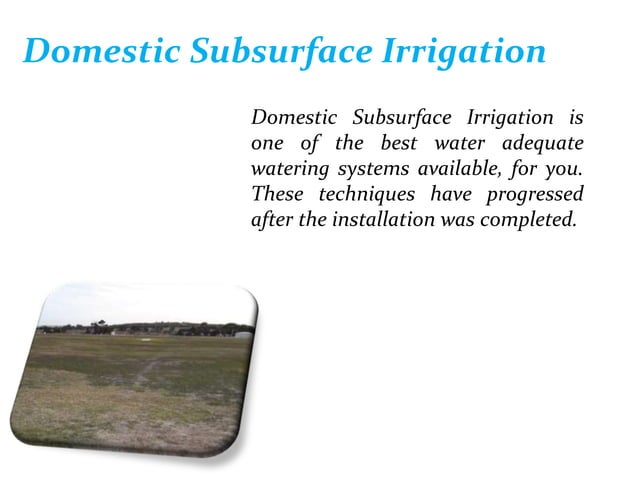 Subsurface drip irrigation (2) | PPTX