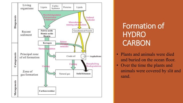Subsurface Petroleum System.pptx | Chemistry | Science