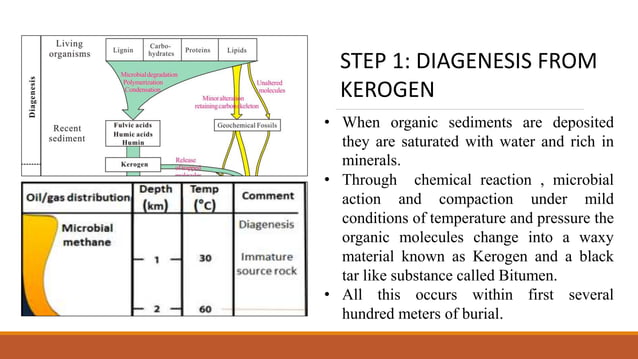 Subsurface Petroleum System.pptx | Chemistry | Science
