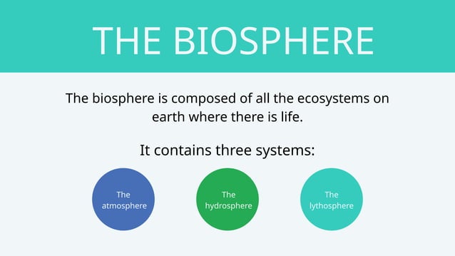 The Earth's Different Subsystems powerpoint | PPTX | Geography | Science