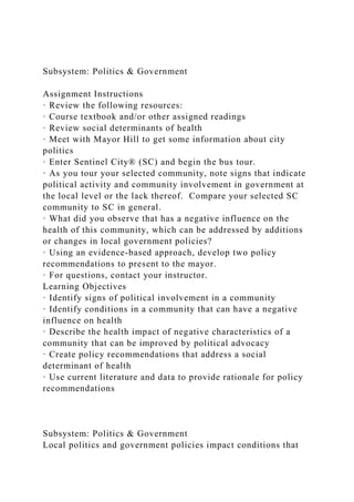 Subsystem Politics & GovernmentAssignment Instructions· Rev.docx