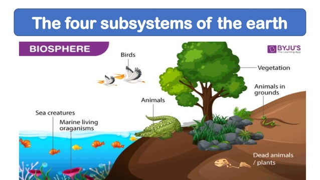SUBSYSTEMS WEEK 1 earth and life science.pptx