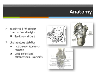 Subtalar Dislocations | PPTX