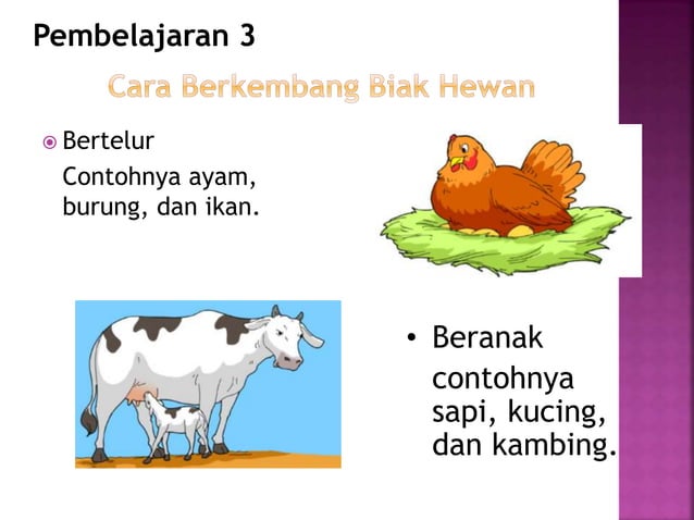 ppt sub tema 1, ciri-ciri makhluk hidup, kelas 3 | PPTX