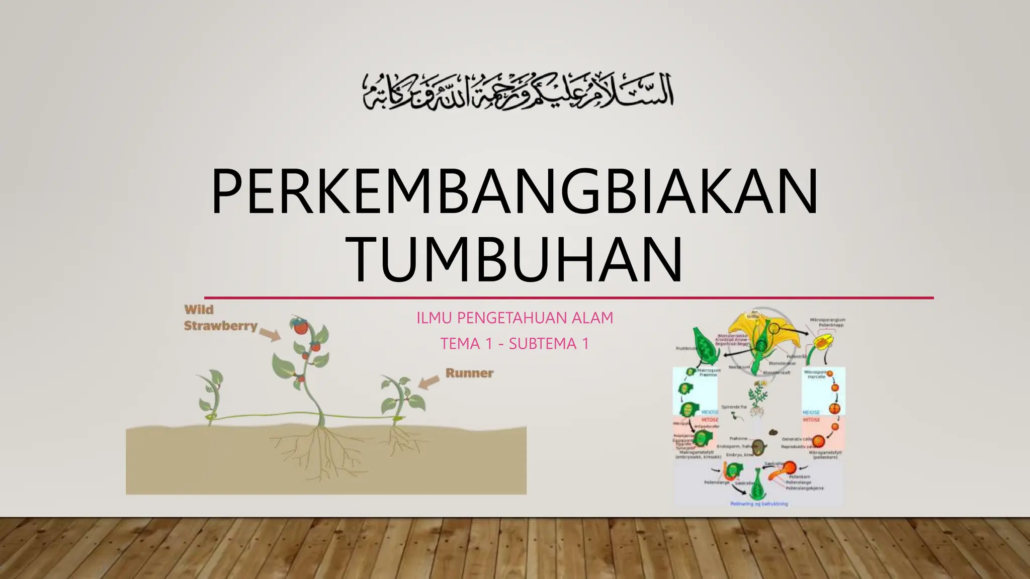 Perkembangbiakan Tumbuhan Subtema 1 Pembelajaran 1 Kelas 6 IPA | PPTX