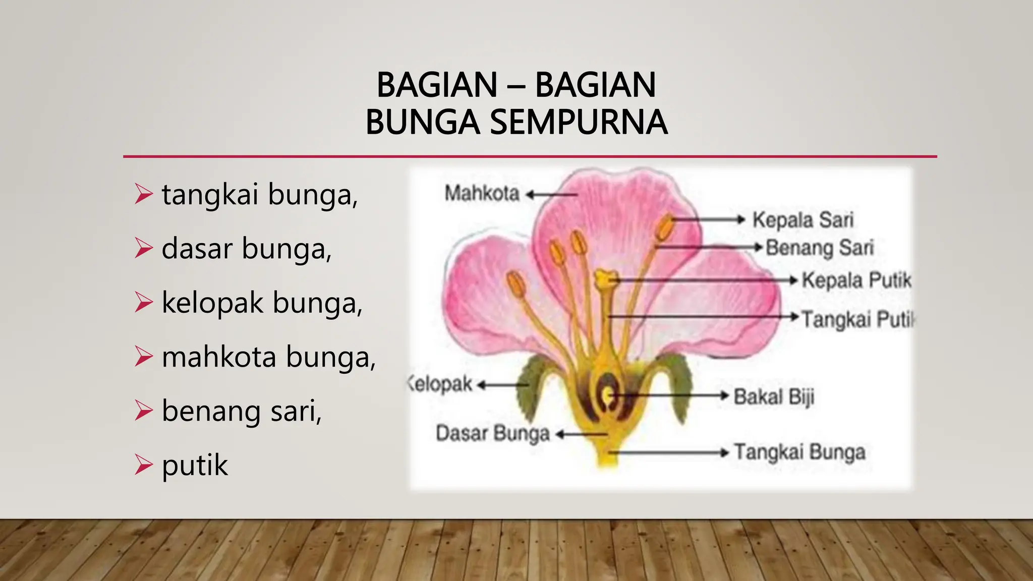 Perkembangbiakan Tumbuhan Subtema 1 Pembelajaran 1 Kelas 6 IPA | PPTX