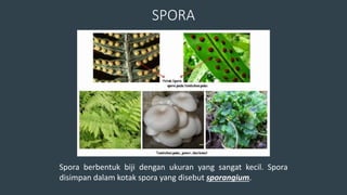 Perkembangbiakan Tumbuhan Vegetatif Alami Kelas 6 IPA | PPTX