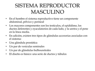 Subtema 4.3 sistema reproductor masculino y femenino | PPTX