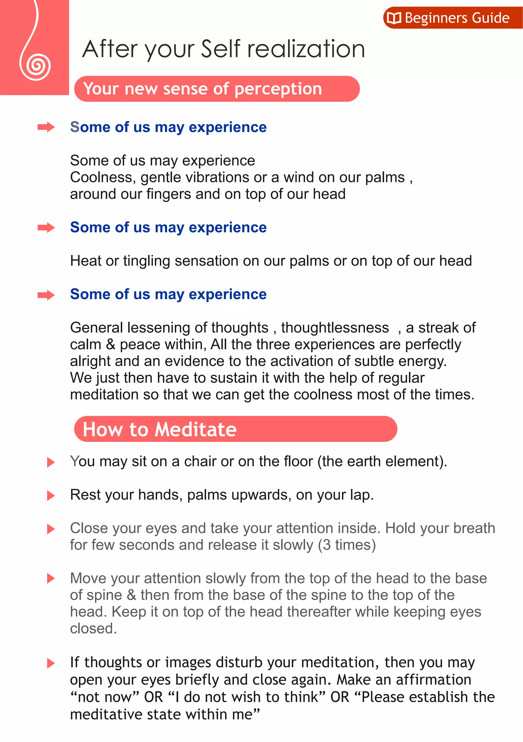 The Subtle System - Sahaja Yoga - Beginner's Guide | PDF