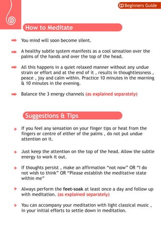 The Subtle System - Sahaja Yoga - Beginner's Guide | PDF