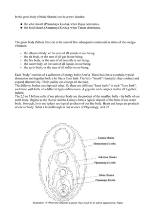 Subtle anatomy | PDF