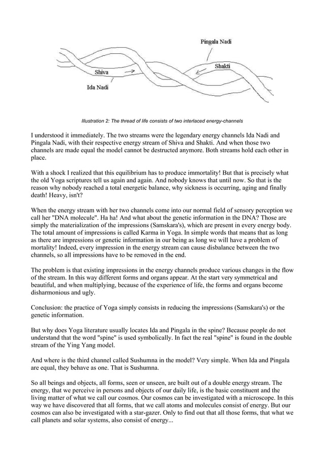 Subtle anatomy | PDF