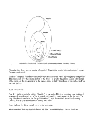 Subtle anatomy | PDF