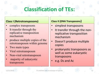 Subtle animated2 | PPTX
