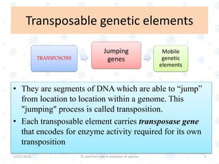 Subtle animated2 | PPTX
