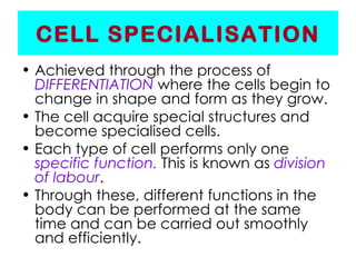 form4(BIOLOGY) chap 2 pt2 | PPT | Biological Sciences | Science