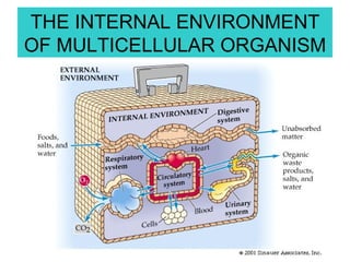 Internal Environment Biology