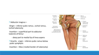 SUBTROCHANTERIC FEMUR FRACTURES.pptx..... | PPTX