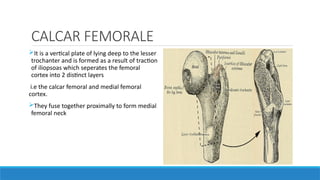 SUBTROCHANTERIC FEMUR FRACTURES.pptx..... | PPTX