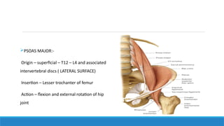 SUBTROCHANTERIC FEMUR FRACTURES.pptx..... | PPTX