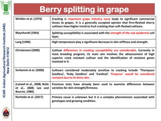 Subtropical grape breeding india | PDF