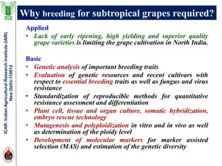 Subtropical grape breeding india | PDF