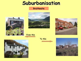 Suburbanisation | PPT