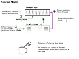 Locations in the Neocortex: A Theory of Sensorimotor Prediction Using Cortical Grid Cells | PPT