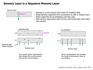 Locations in the Neocortex: A Theory of Sensorimotor Prediction Using Cortical Grid Cells | PPT