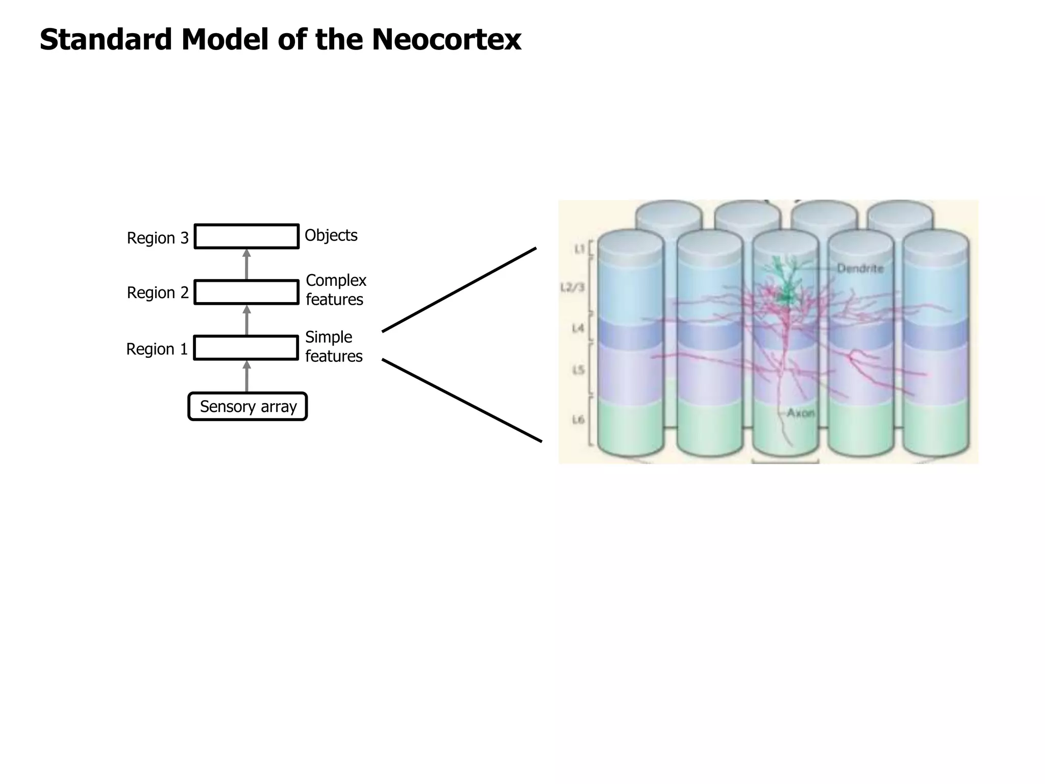 Have We Missed Half of What the Neocortex Does? A New Predictive Framework Based on Cortical ...