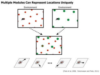 Have We Missed Half of What the Neocortex Does? A New Predictive Framework Based on Cortical ...