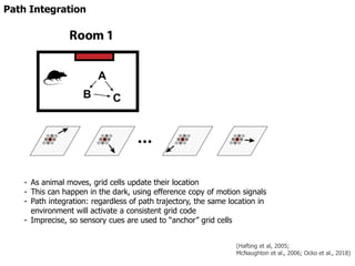 Have We Missed Half of What the Neocortex Does? A New Predictive Framework Based on Cortical ...