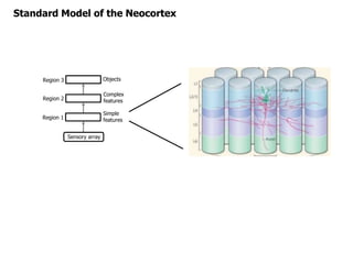 Have We Missed Half of What the Neocortex Does? A New Predictive Framework Based on Cortical ...