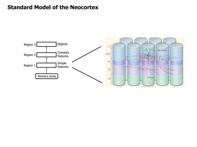 Have We Missed Half of What the Neocortex Does? A New Predictive Framework Based on Cortical ...