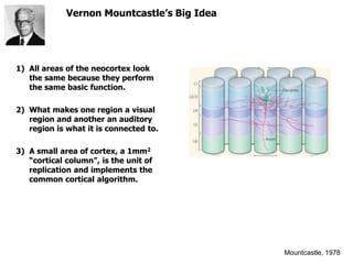 Have We Missed Half of What the Neocortex Does? A New Predictive ...