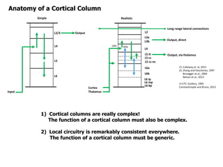 Have We Missed Half of What the Neocortex Does? A New Predictive Framework Based on Cortical ...