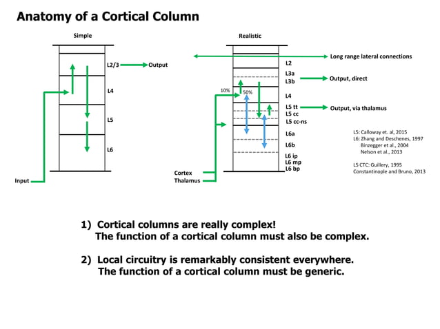 Have We Missed Half of What the Neocortex Does? A New Predictive Framework Based on Cortical ...