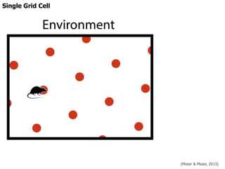 Have We Missed Half of What the Neocortex Does? A New Predictive Framework Based on Cortical ...