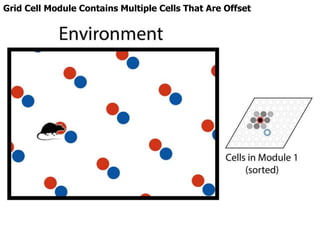 Have We Missed Half of What the Neocortex Does? A New Predictive Framework Based on Cortical ...