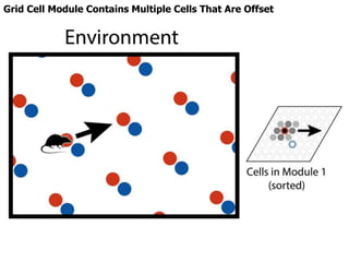 Have We Missed Half of What the Neocortex Does? A New Predictive Framework Based on Cortical ...