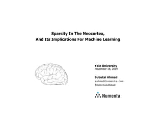 Sparsity In The Neocortex, And Its Implications For Machine Learning | PPT