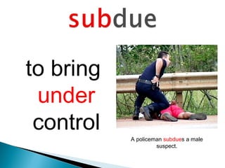 Sub vocabulary words | PPT