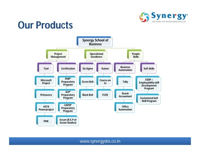 Succeed in your Business Aspiration with Synergy.pdf