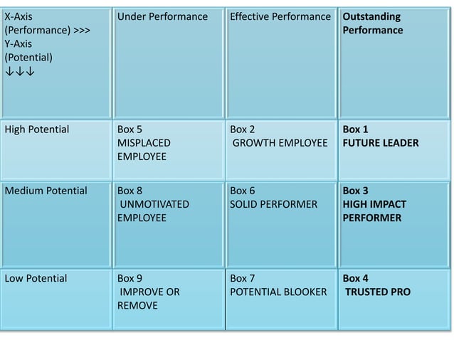 Succession planning 9 box | PPTX