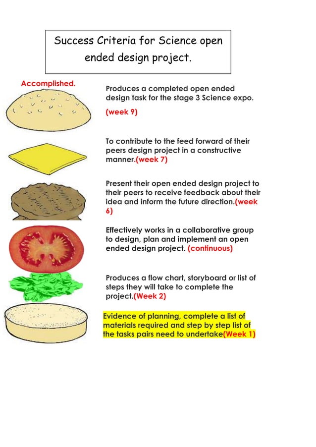 Success criteria open ended science task | DOCX