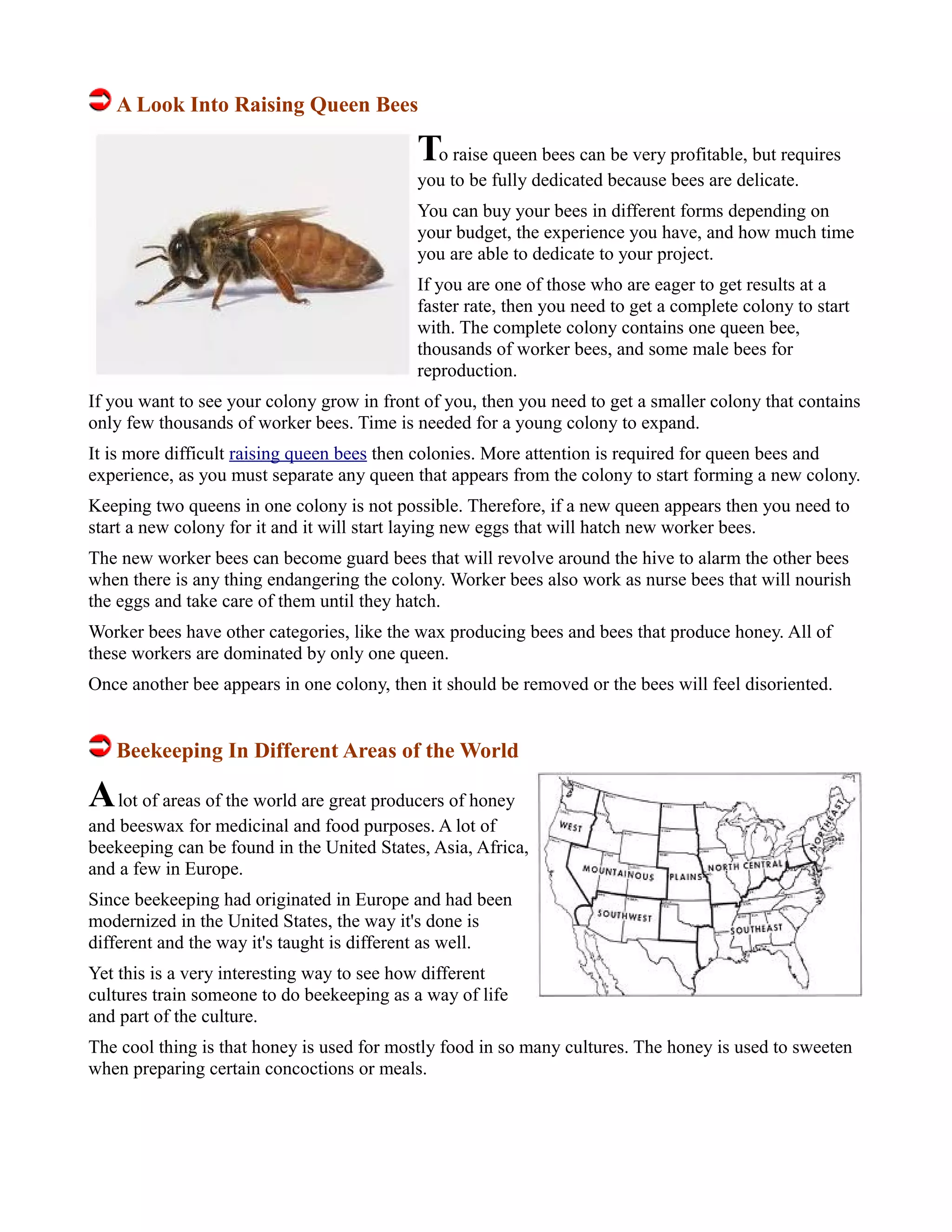 Successful beekeeping manual | PDF