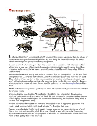 Successful beekeeping manual | PDF