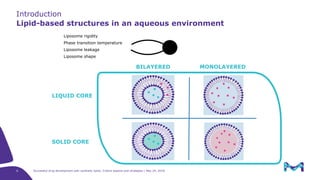 Successful Drug Development with Synthetic Lipids: Critical Aspects and ...