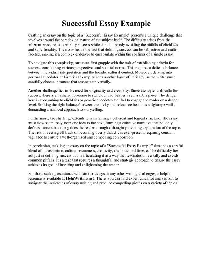 Successful Essay Example. College Essay Examples - 9 in PDF Examples | PDF